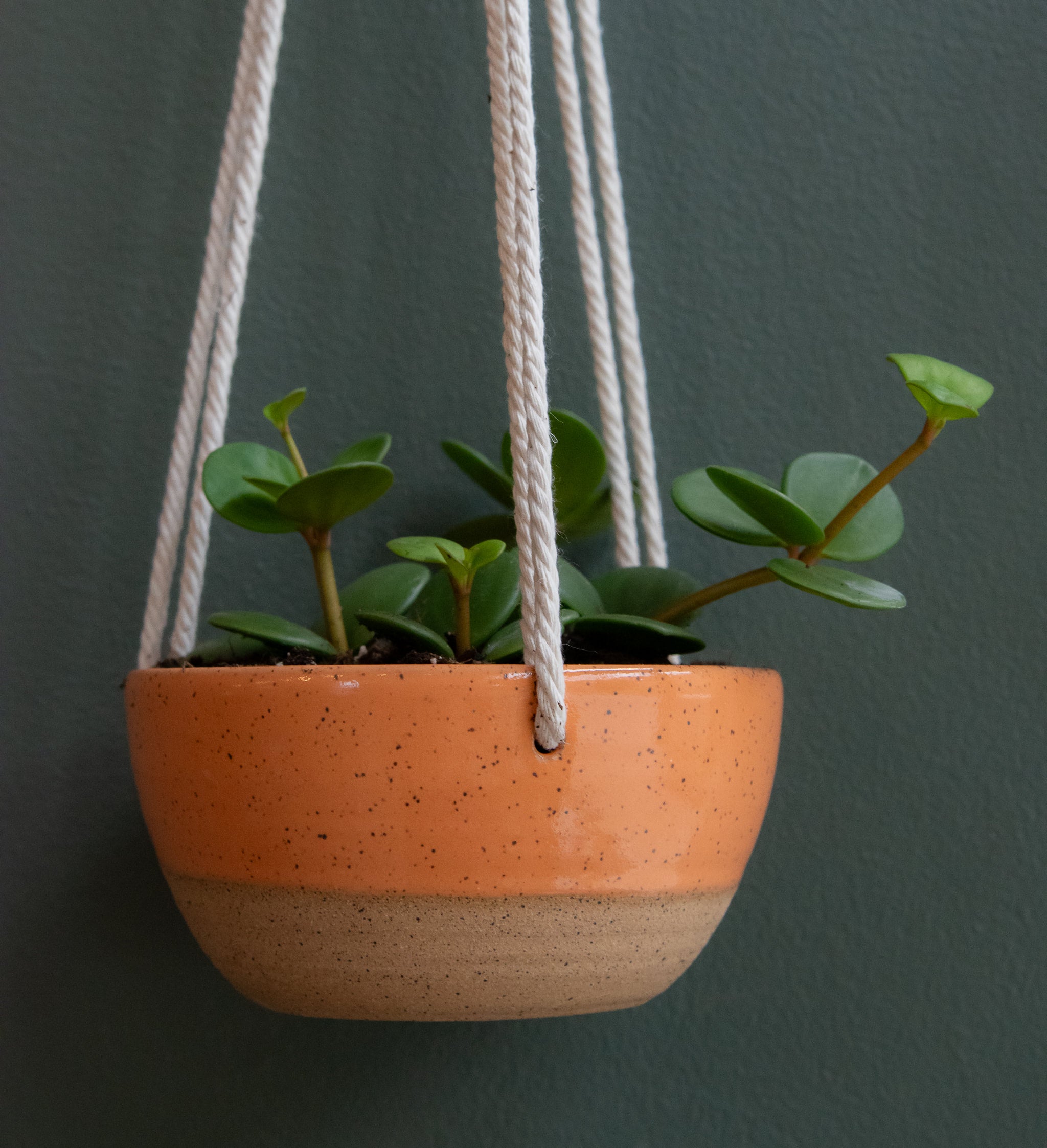Mini Hanging Planter | East Wheeling Clayworks